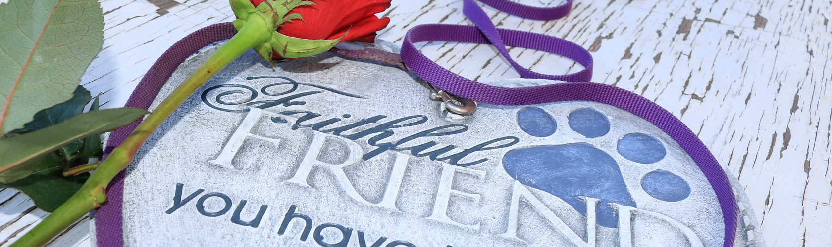 Pet Loss Grief Support | Pet Home Hospice & Euthanasia Vet MI