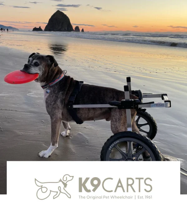 K9 Cart - Wheelchairs - Heaven At Home Pet Hospice