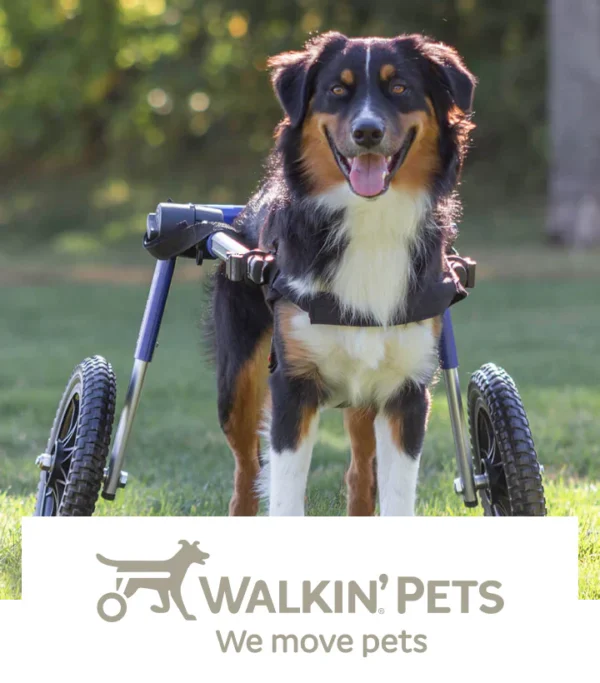 Walkin' Pets Mobility Aids - Heaven At Home Pet Hospice